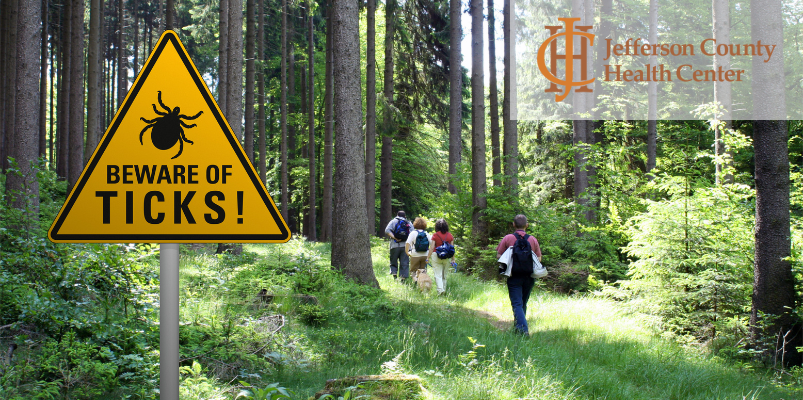 Ticks: What You Need to Know and How to Safely Remove Them